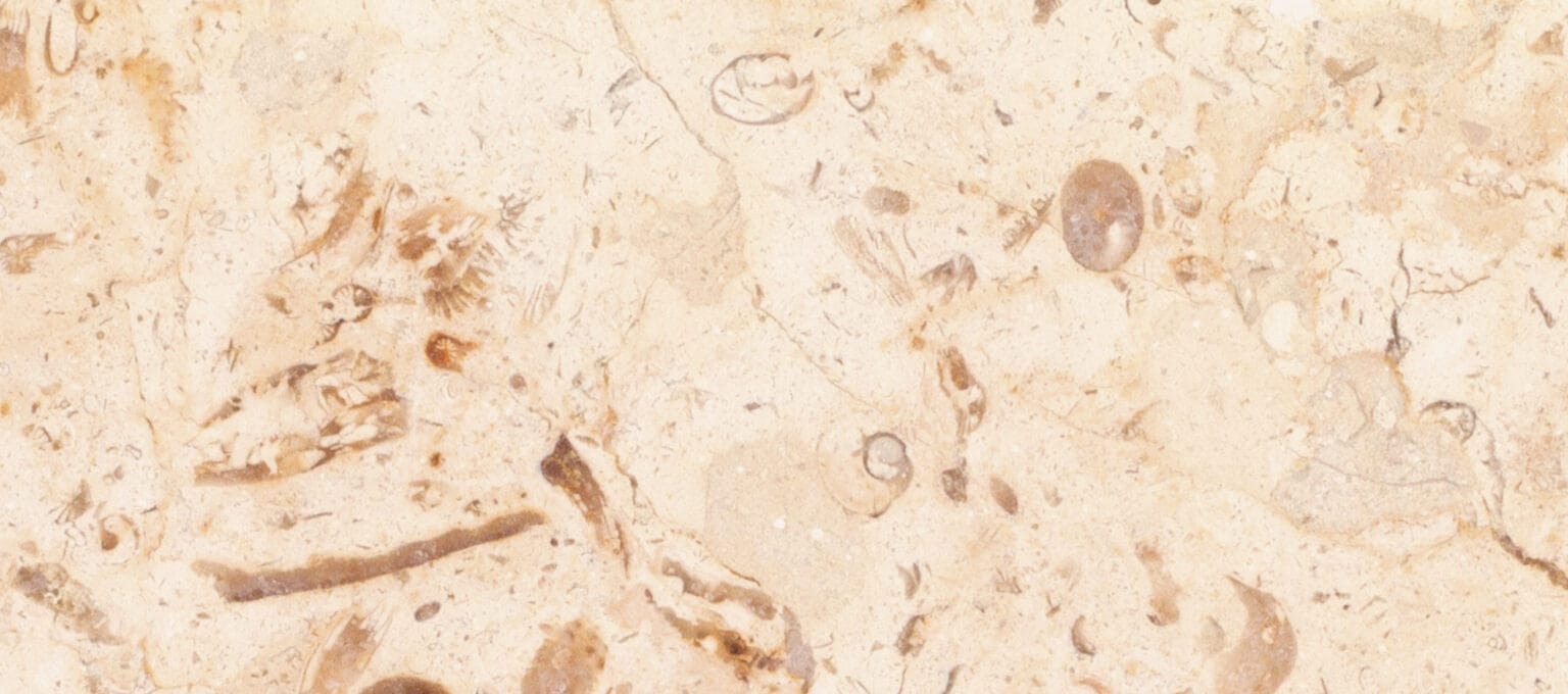 Ancient Earth - Nassar Stone